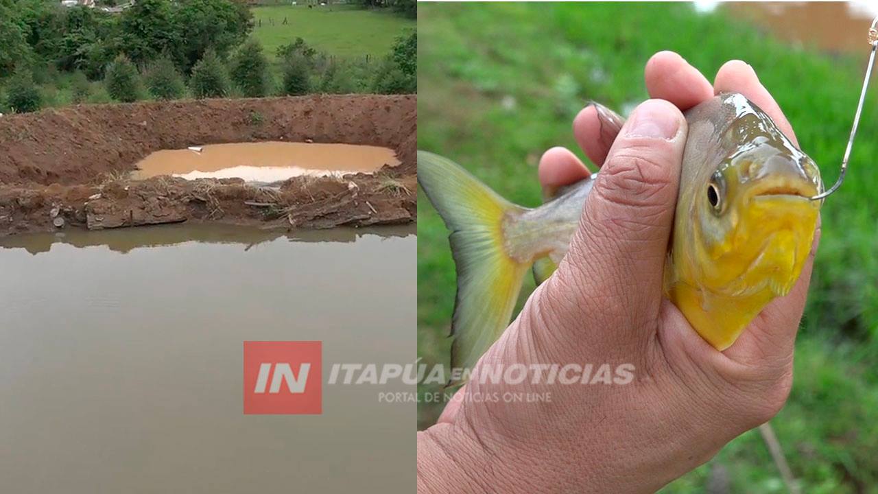 ProducciÓn PiscÍcola Crece En Todo El Municipio De La Paz Itapúa