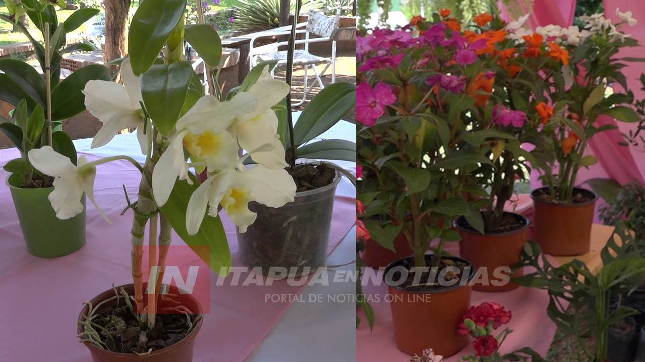 SEGUNDA FERIA DE FLORES SE LLEVÓ A CABO EN ENCARNACIÓN – Itapúa Noticias