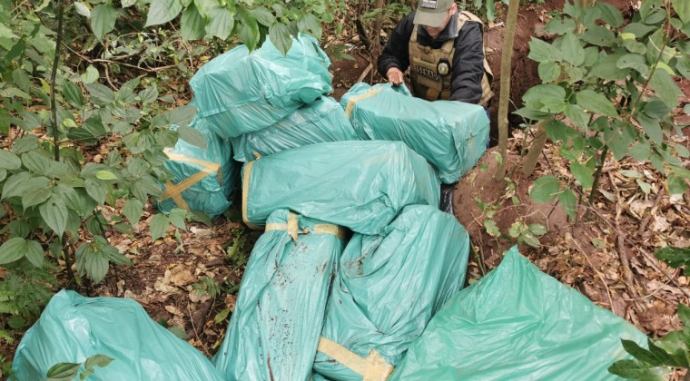 Incautan Cargamento De Marihuana Prensada En Yby Yaú Itapúa Noticias