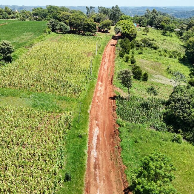 NUEVA ALBORADA CONTINÚA CON LA MEJORA DE CAMINOS EN EL DISTRITO ...
