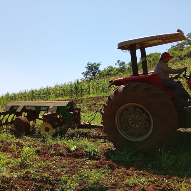 NUEVA ALBORADA IMPULSA EL DESARROLLO DE PEQUEÑOS PRODUCTORES – Itapúa ...