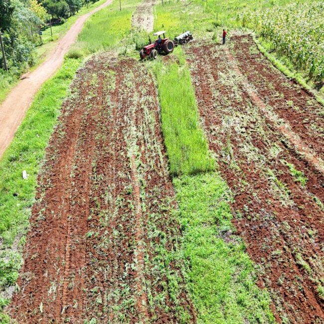 NUEVA ALBORADA IMPULSA EL DESARROLLO DE PEQUEÑOS PRODUCTORES – Itapúa ...